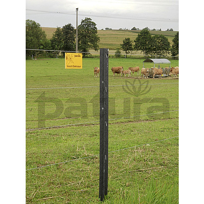 Patura Kreuzprofil-Pfahl 1,85 m kaufen