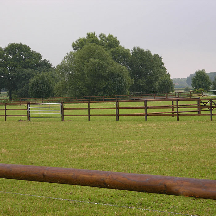 Bildergalerie ZaunKoppelzaun und Montage kaufen